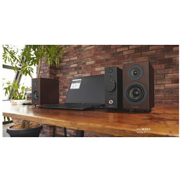 [New]SONY SONY CAS-1 BC Bluetooth speaker black [Bluetooth ...