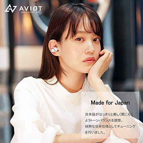 [New]With the Audio System maker TE-D01e Bluetooth earphone Bluetooth 5.0 perfection wireless ...