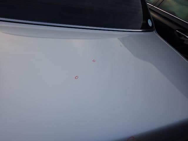 [Used]Trunk Panel NISSAN Cedric 1999 GF-MJY31 H43001H330 - BE FORWARD ...