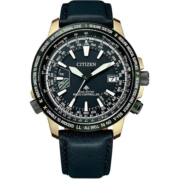 [New]Citizen CITIZEN PROMASTER pro master SKY series direct flight ...