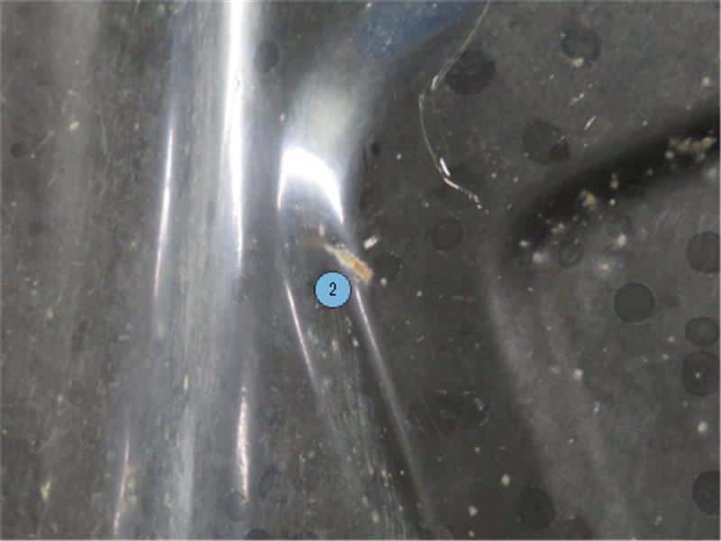 [Used]Fuel Tank TOYOTA Starlet 1997 E-EP91 7700116250 - BE FORWARD Auto ...