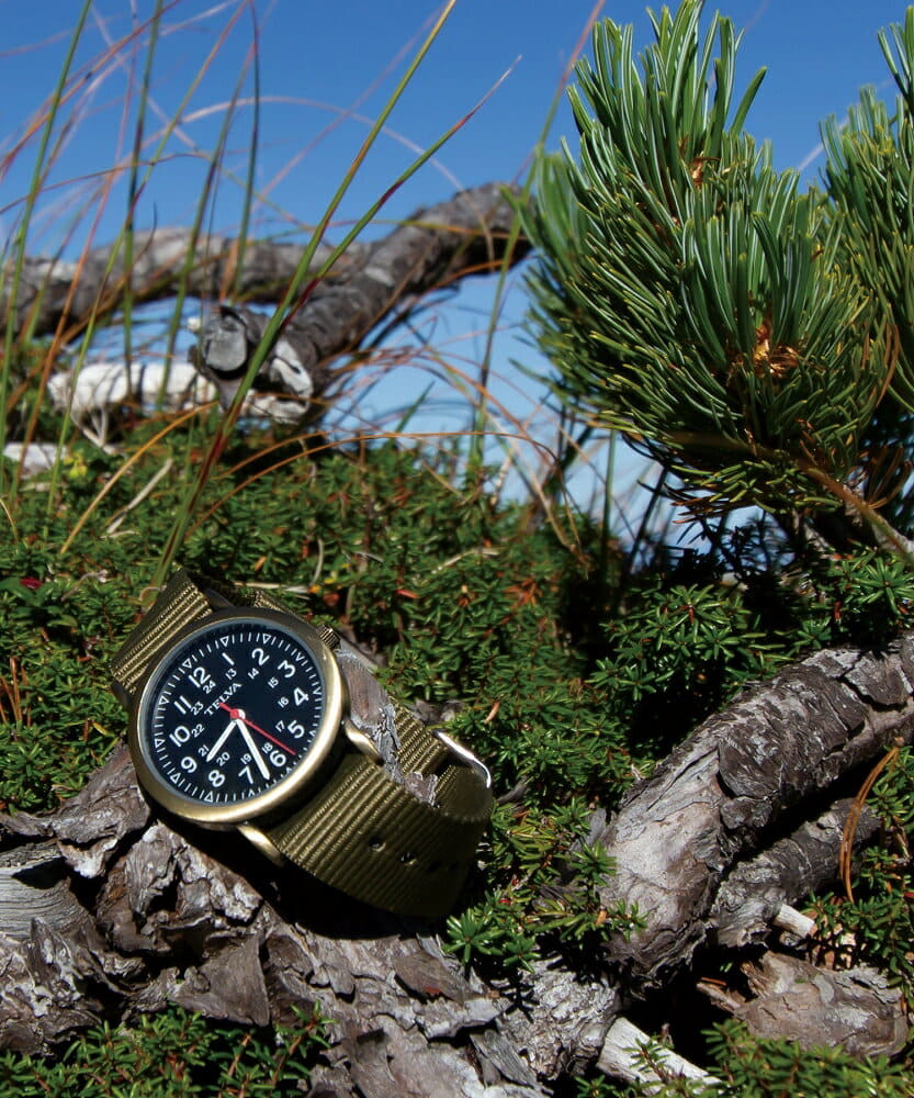 [New]TELVA terbaanalog watch NATO band mens Ladies TE-AM043 - BE ...