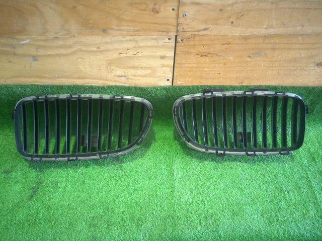 [Used]Radiator Grille BMW 5 Series 2012 DBA-XG20 51137203650 - BE ...