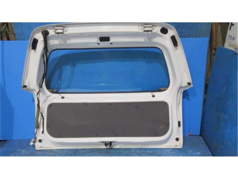 [Used]Back Door Assembly NISSAN Ad 2004 CBE-VY11 K0100WE9MM - BE ...