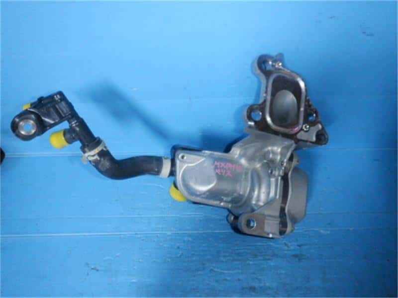[Used]Water Pump TOYOTA Toyota Others 2022 6AA-MXPH15 1603215190 - BE ...
