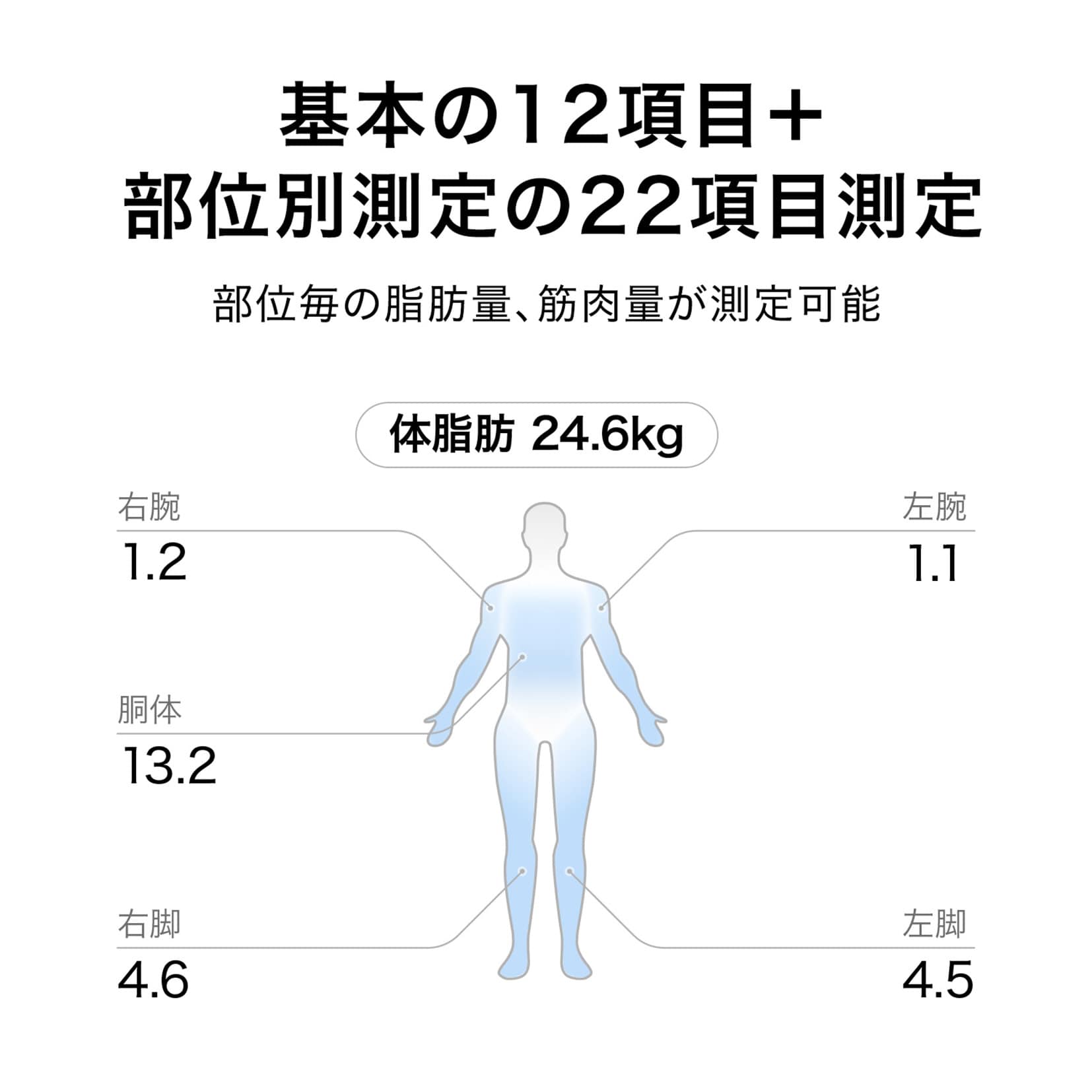 [New]HUAWEIScale 3 Pro - unisex HAG-B19 scale - BE FORWARD Store