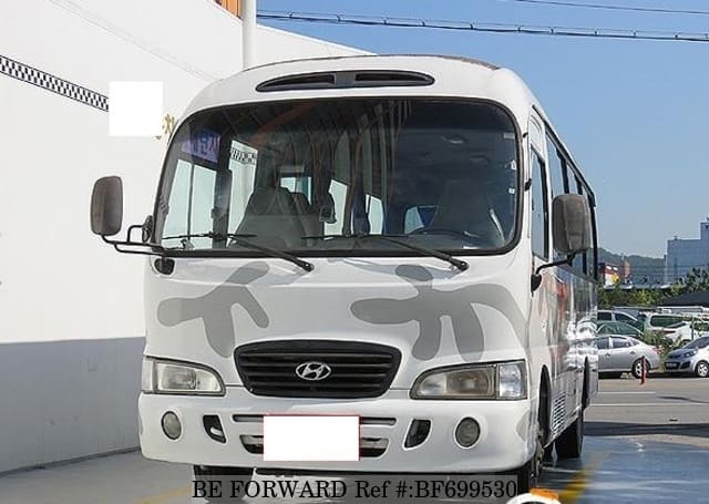 Used 2006 HYUNDAI COUNTY for Sale BF699530 - BE FORWARD