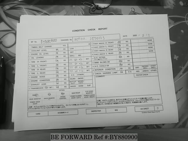 Used 2015 TOYOTA RACTIS G/DBA-NCP120 for Sale BY880900 - BE FORWARD