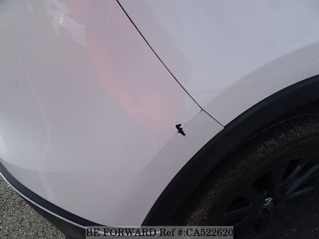 Used 2013 MAZDA CX-5 XD/LDA-KE2FW for Sale CA522620 - BE FORWARD